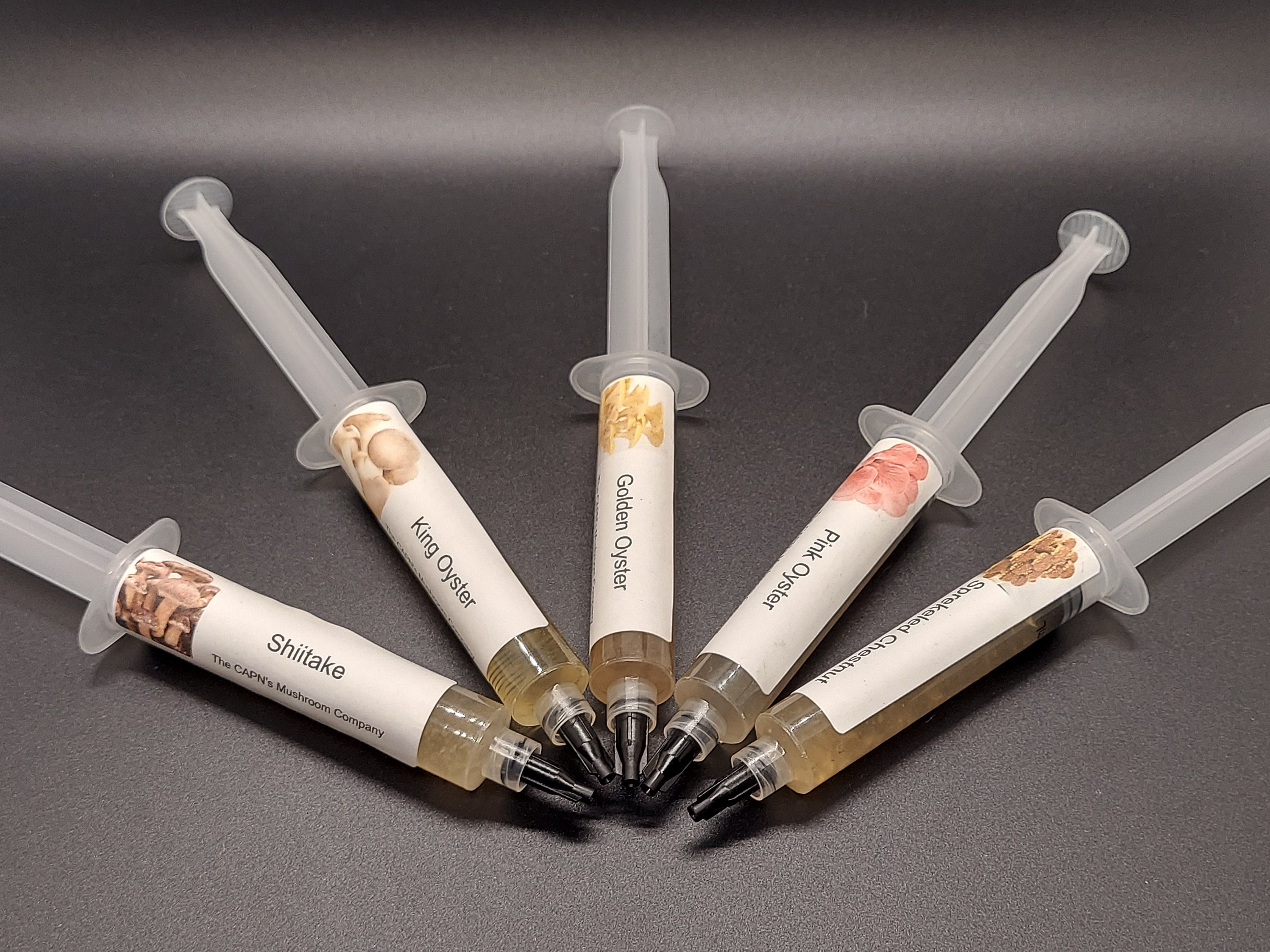 5 pack - Antibacterial Liquid Culture Syringe (5 syringes per order ...